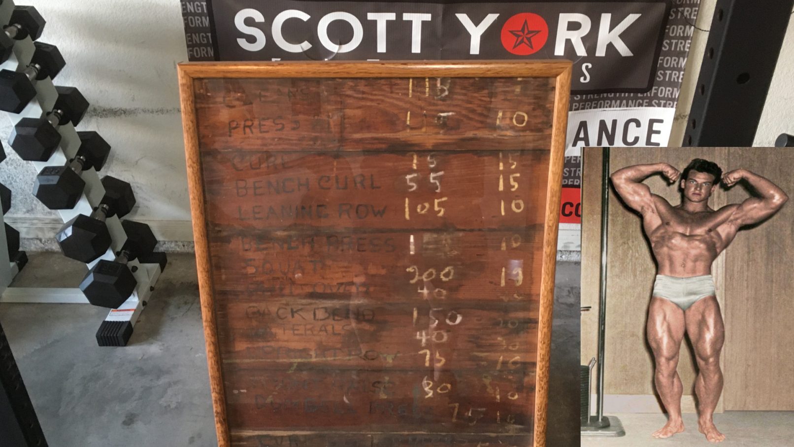 The Story of Steve Reeves Garage Wall Workout – The Holy Grail of ...